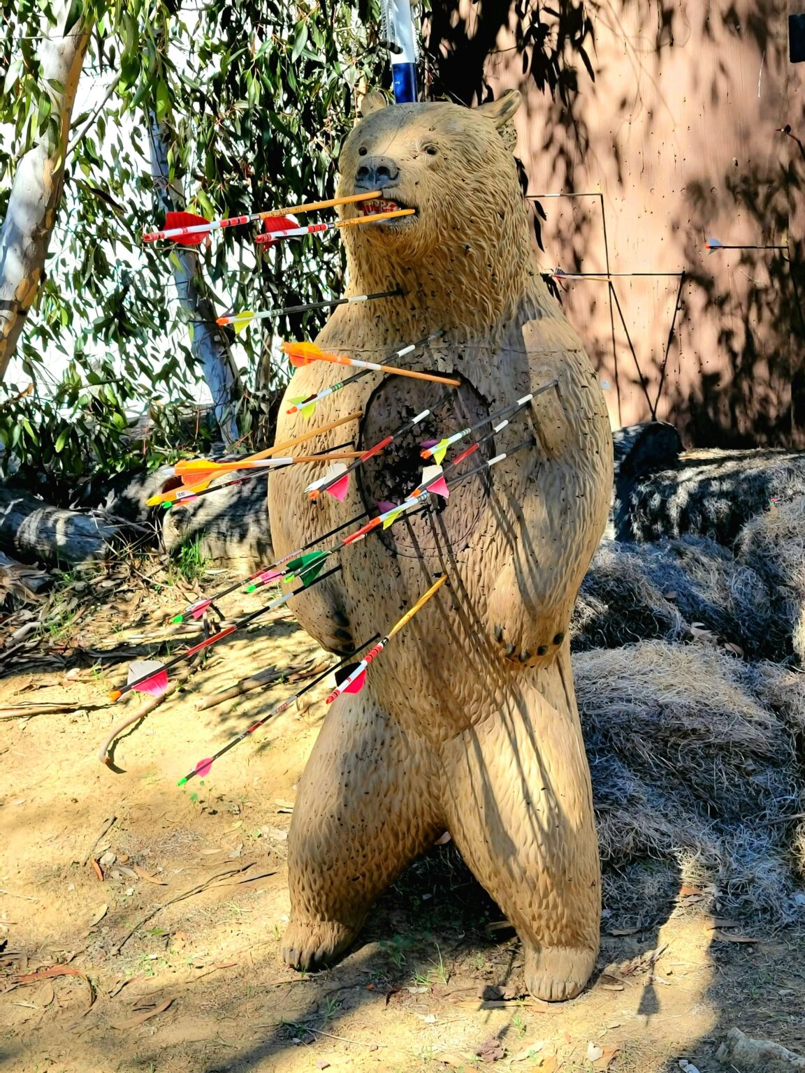 San Diego Archers - San Diego's Archery Club